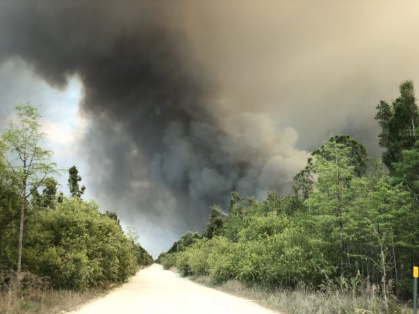 News | Greater Naples Fire Rescue District